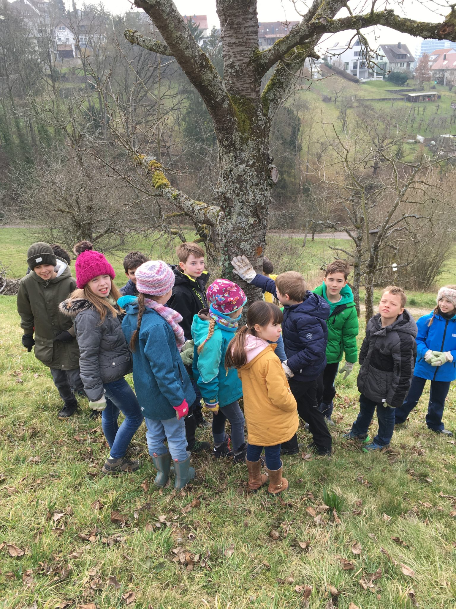 Lernen auf der Wiese: Das Streuobstwiesenprojekt der GO 1 ist gestartet ...